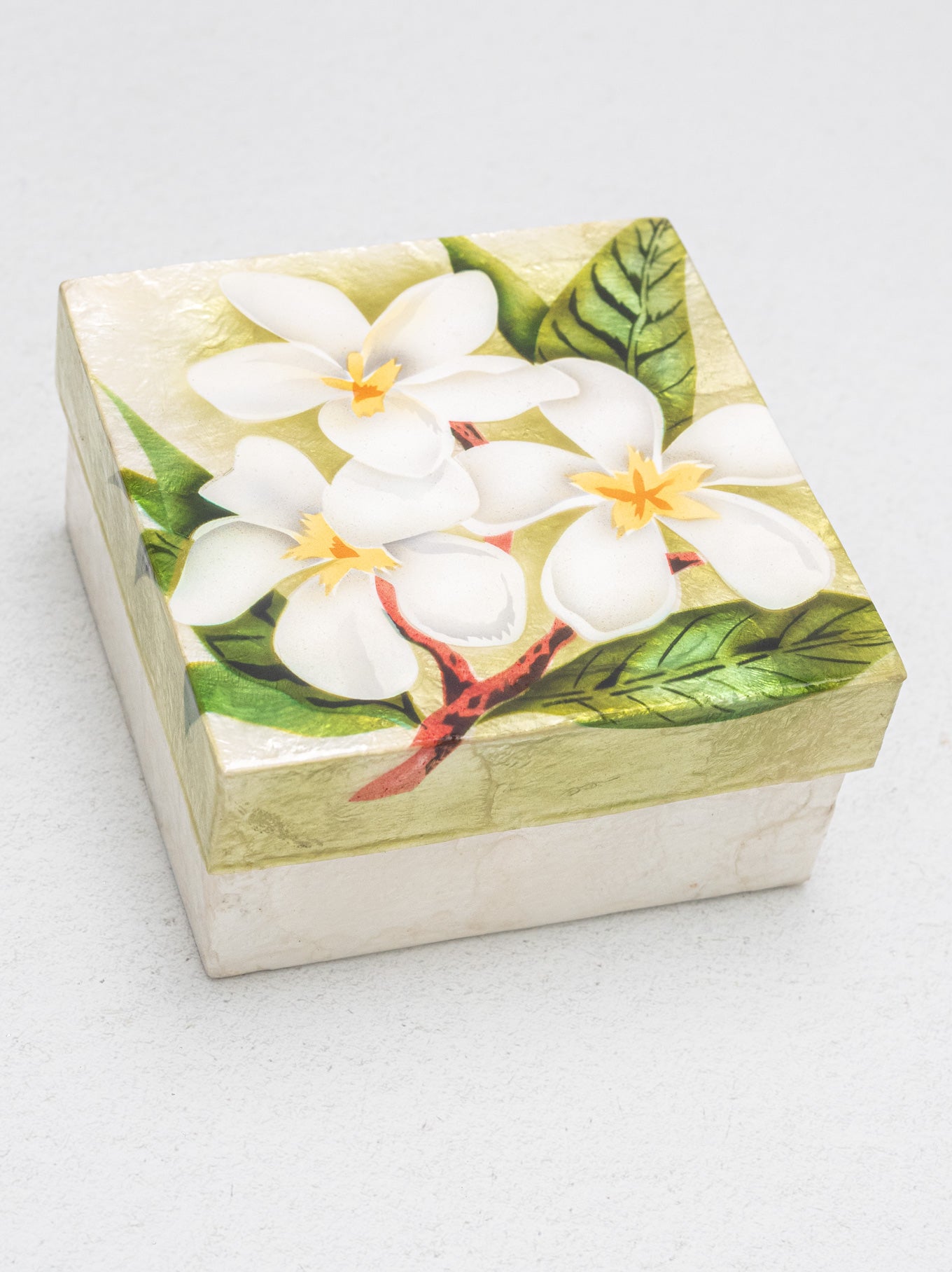 Large Plumeria Capiz Shell Box – Holly Yashi